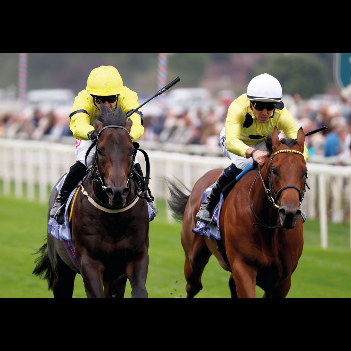 It was a summer of success for Kodi Bear