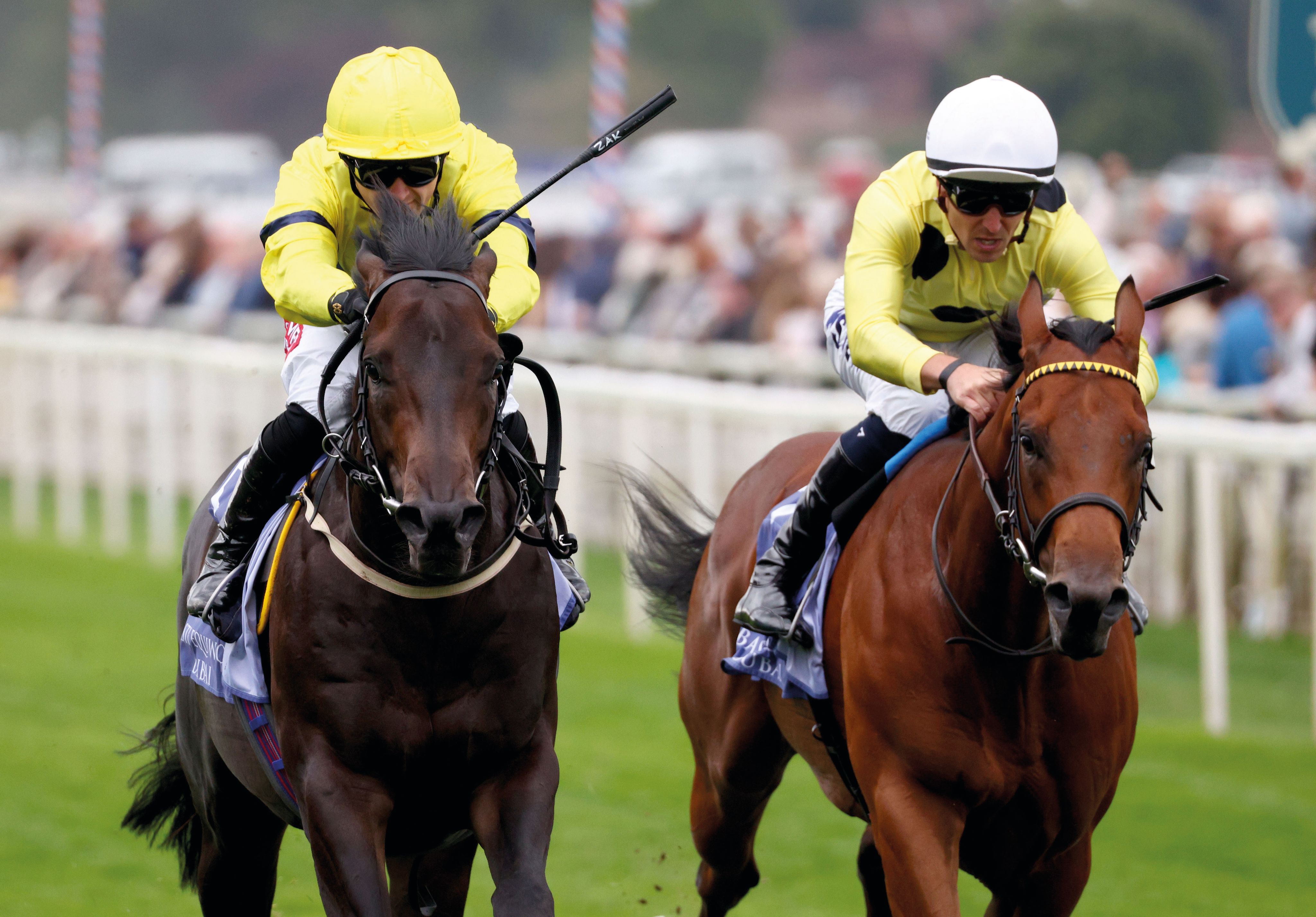 It was a summer of success for Kodi Bear