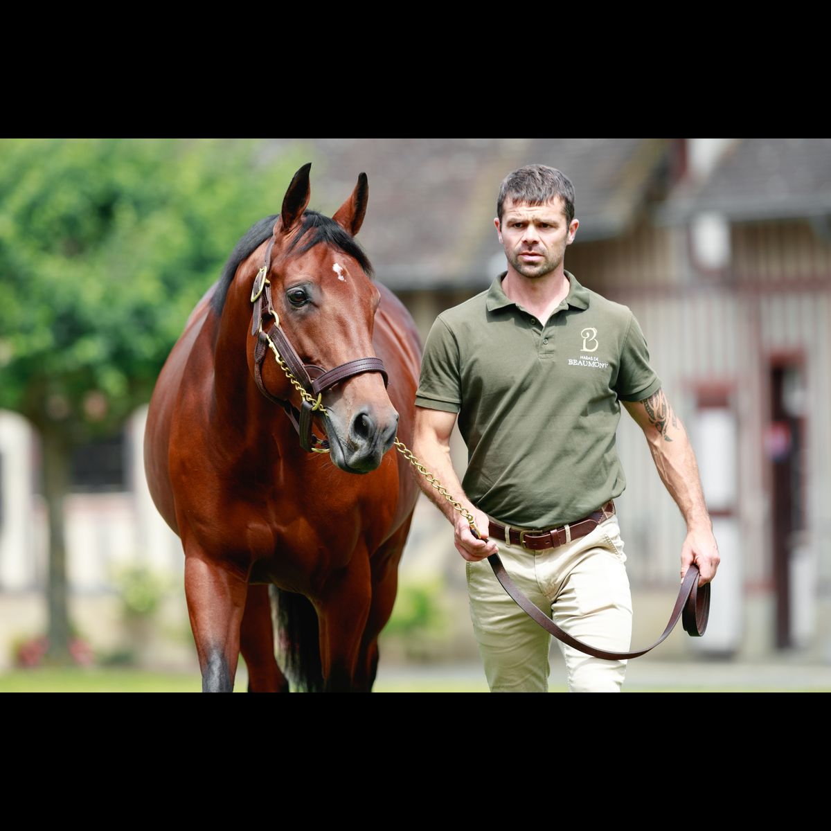 A big year for Beaumont