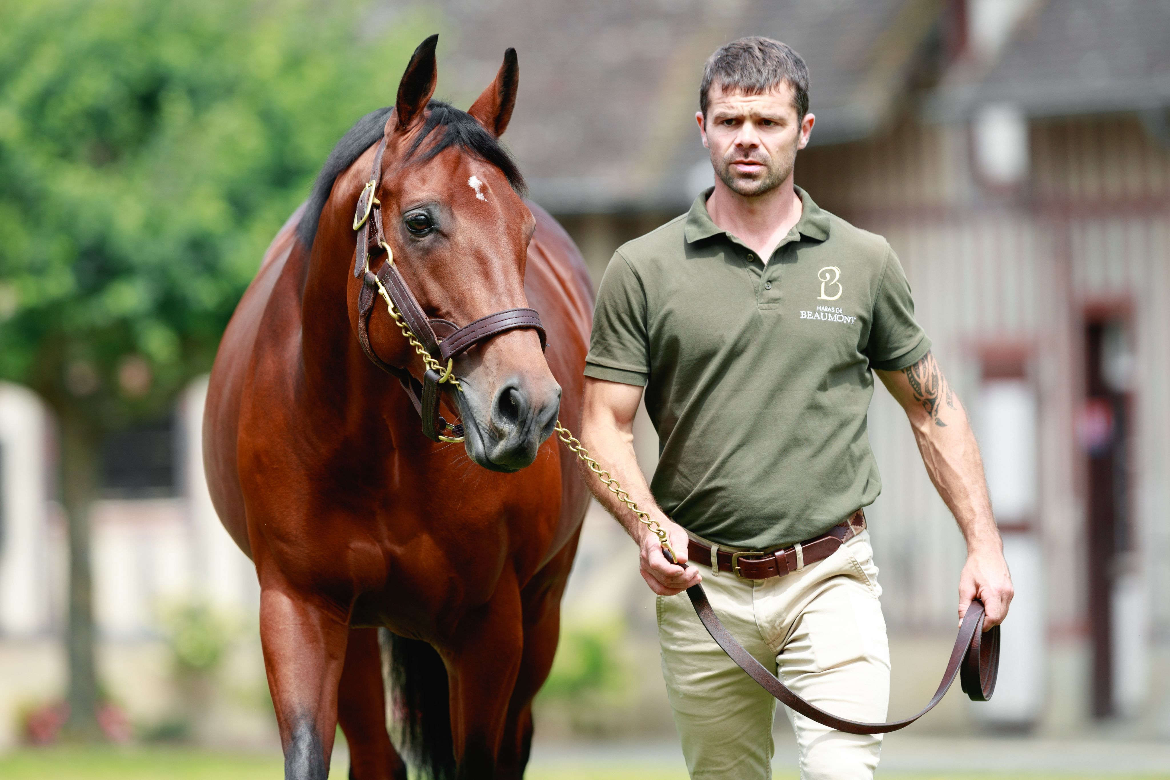 A big year for Beaumont