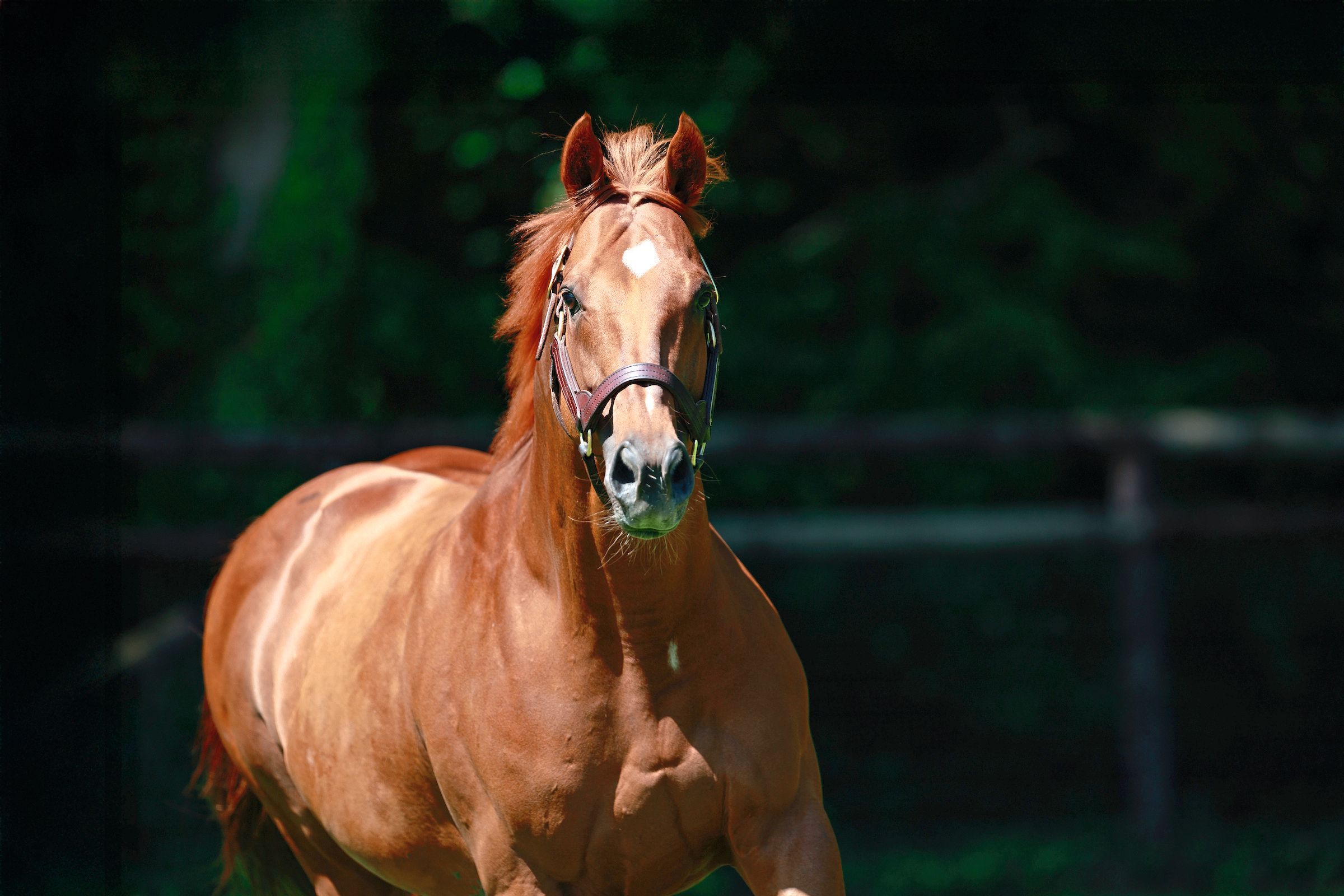 A big year for Beaumont